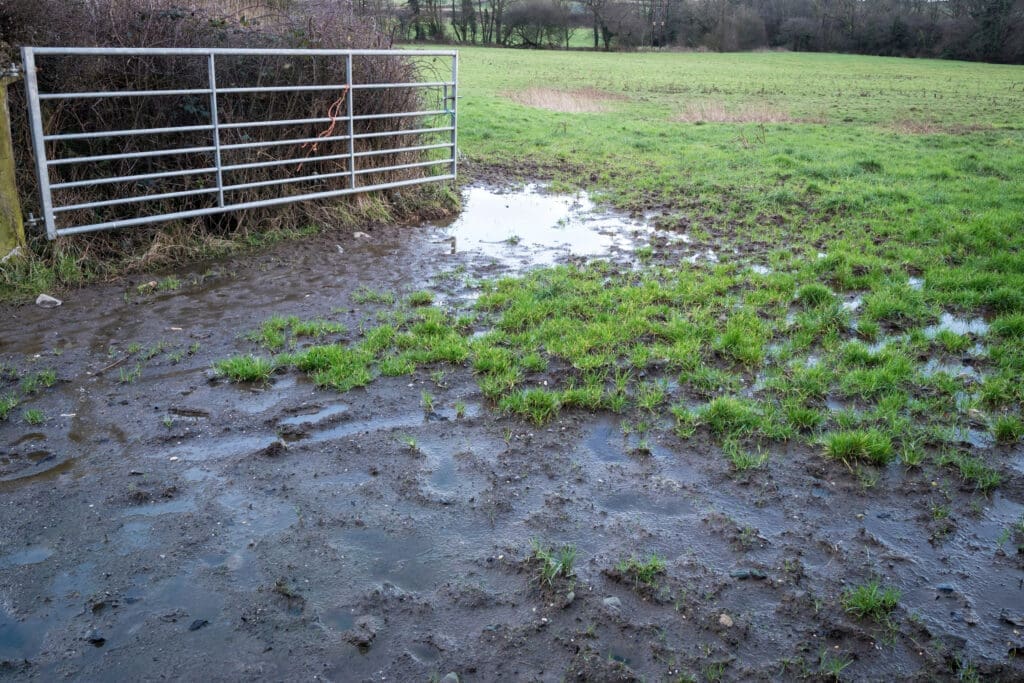 Landscaping Tips for Preventing Water-logged Soil - Hilton Landscape Supply