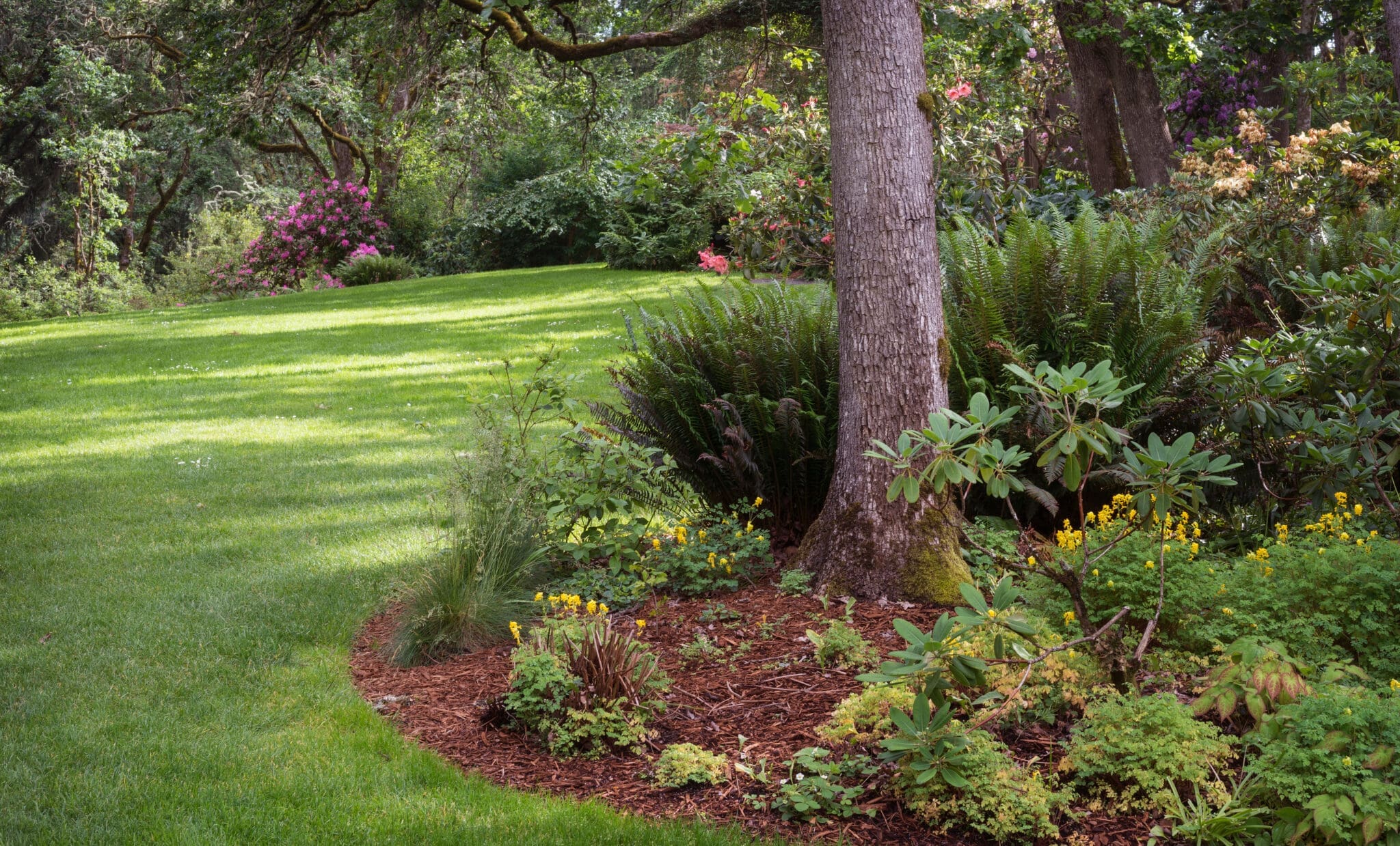 The Essence of Sustainable Landscape Design - Hilton Landscape Supply