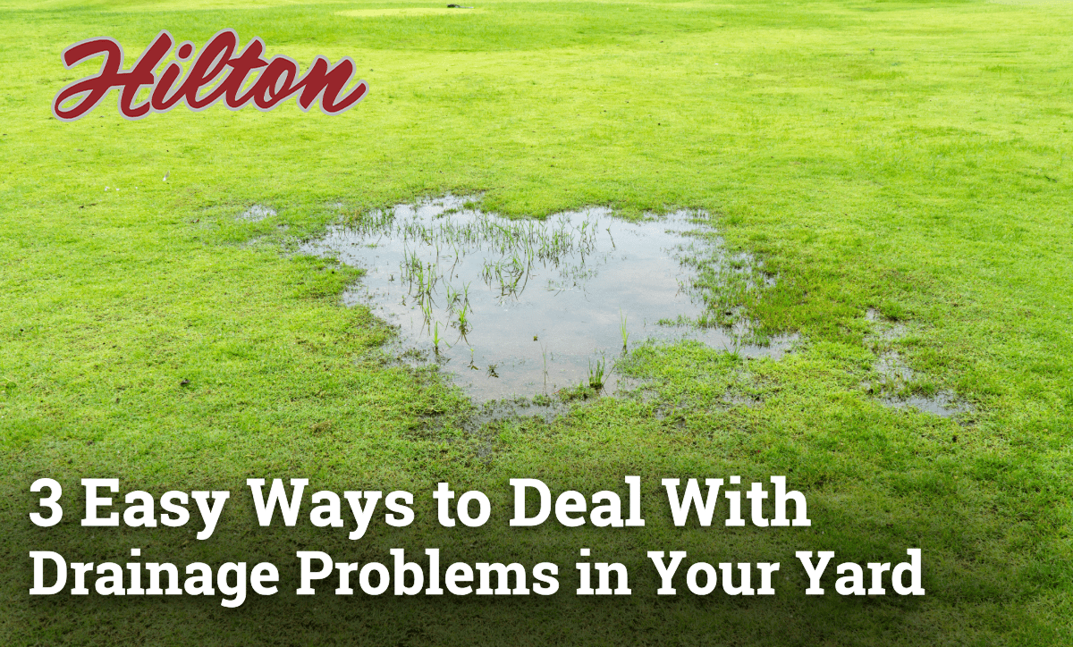 3 Easy Ways to Deal With Drainage Problems in Your Yard - Hilton ...